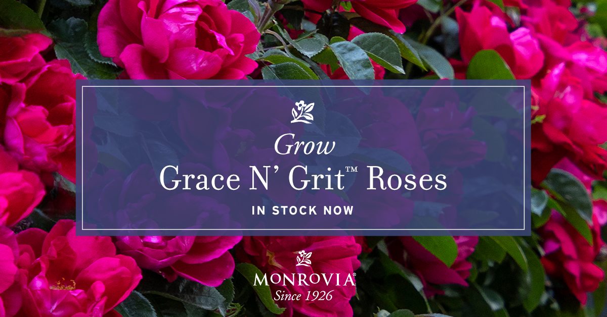 Special Campaigns 2022 Retailer Resources