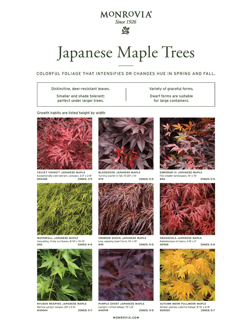 Arbor Day Ideas for your Garden Center