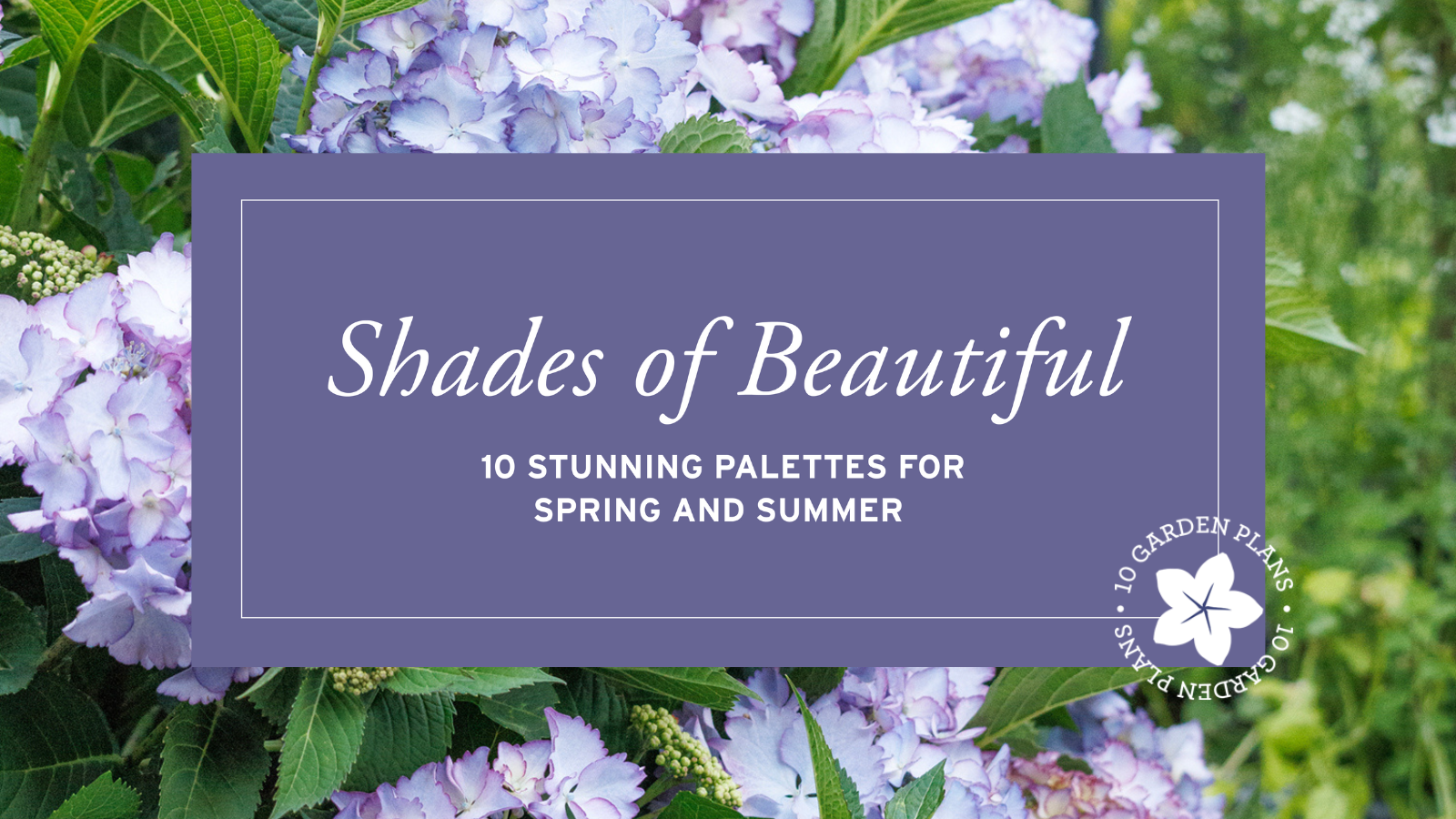 Shades of Beautiful Guide