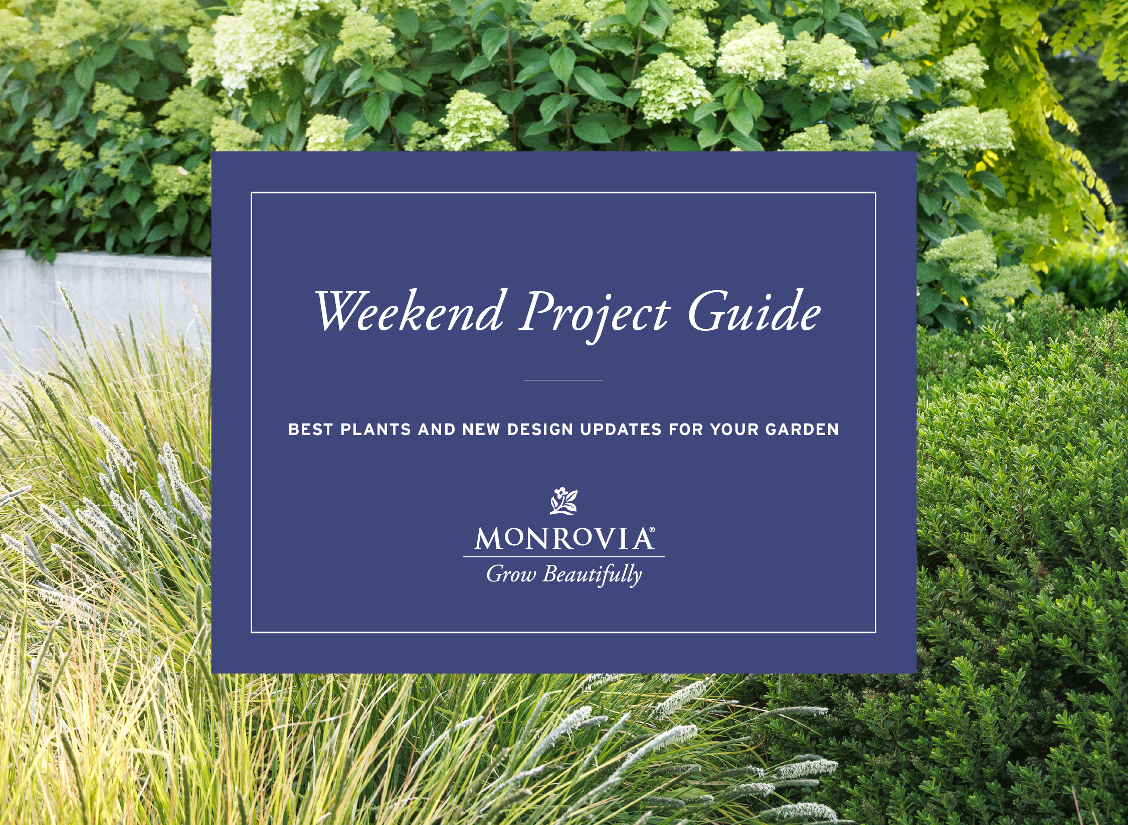 Weekend Project Guide