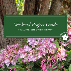 Weekend Project Guide